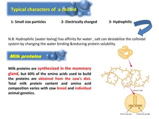 Milk protein introduction. | PDF | Chemistry | Science