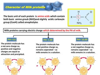 Milk protein introduction. | PDF