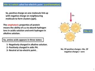 Milk protein introduction. | PDF