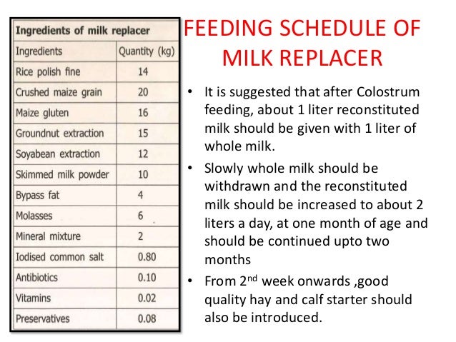 Milk replacer and calf starter