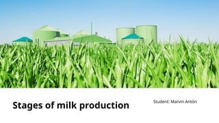 milk stages production.pptx producción L | PPTX