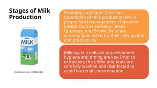 milk stages production.pptx producción L | PPTX