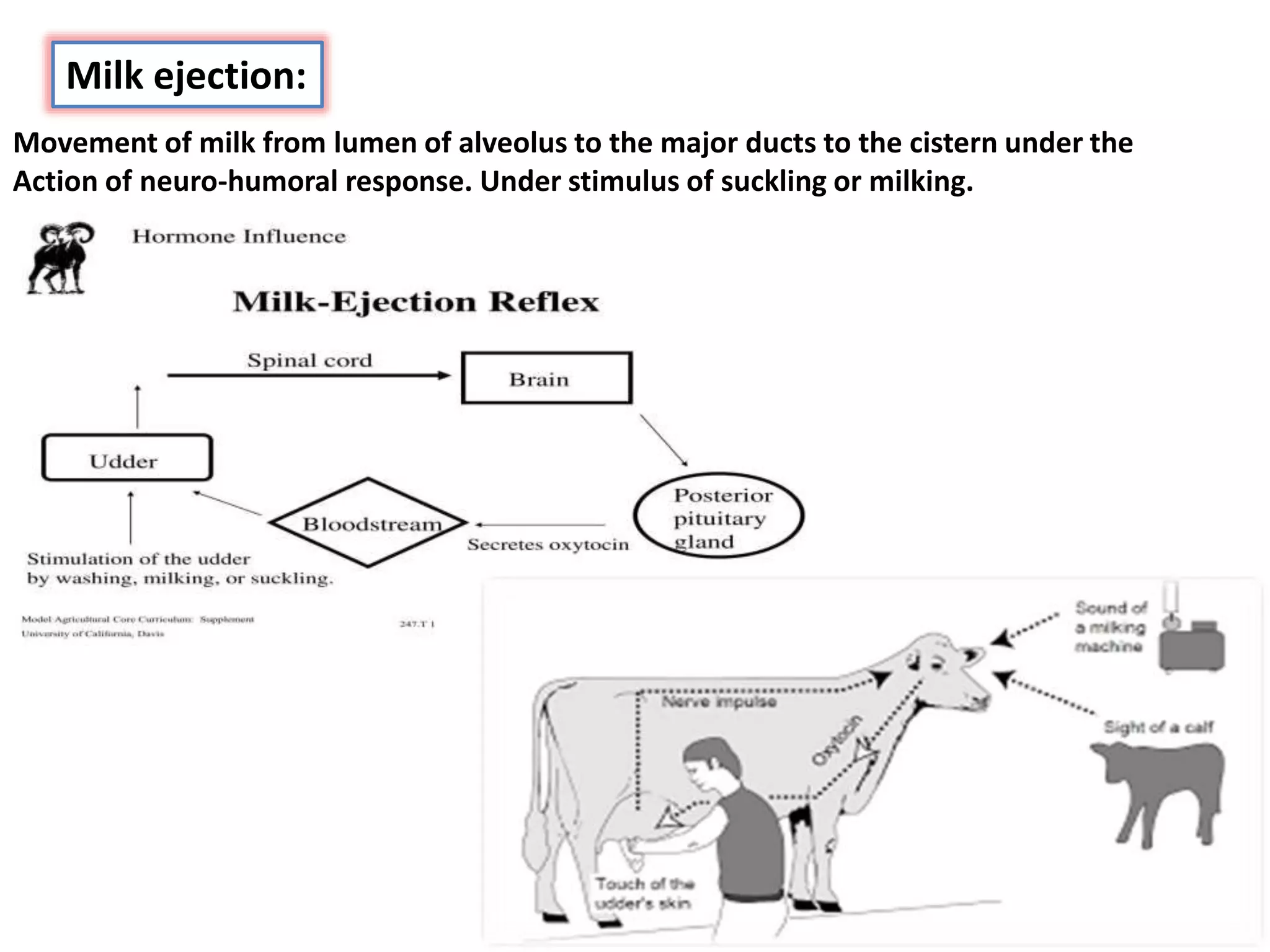 Milk synthesis 2020. | PDF