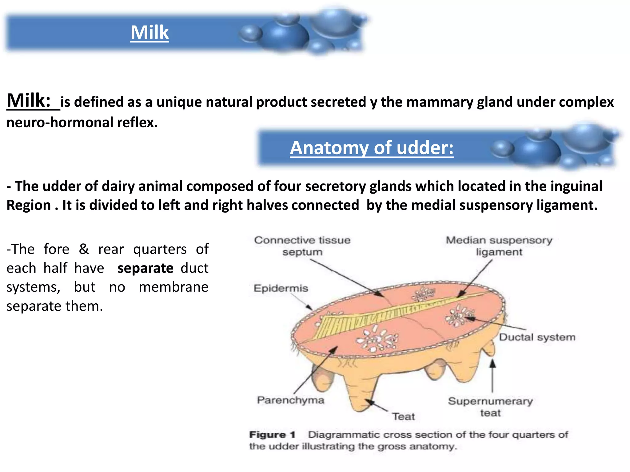 Milk synthesis 2020. | PDF