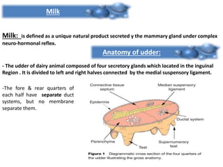 Milk synthesis 2020. | PDF