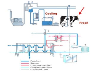 Milk thermal treatment | PPTX