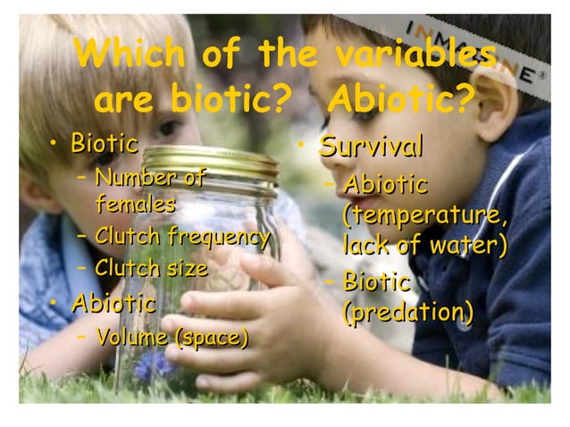 Milkweed Bugs Limited (6.1a) | PPT | Biological Sciences | Science