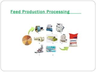 STEPS INVOLVED IN AUTOMATED FEED MILL | PPT
