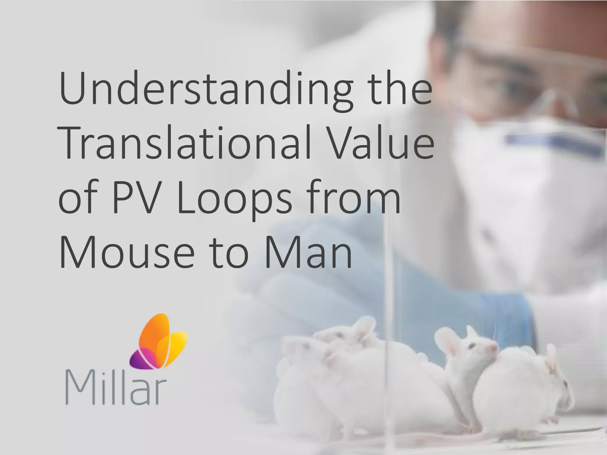 Understanding the Translational Value of PV Loops from Mouse to Man | PPT