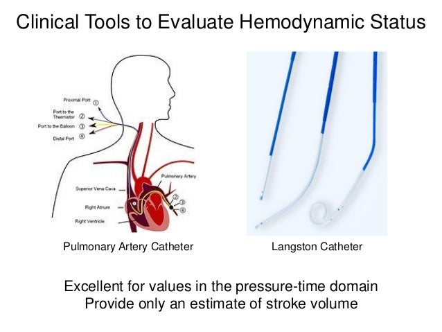 Understanding the Translational Value of PV Loops from Mouse to Man