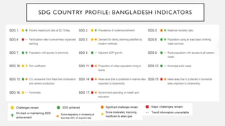 Sustainable Development Goals (SDGs).pptx