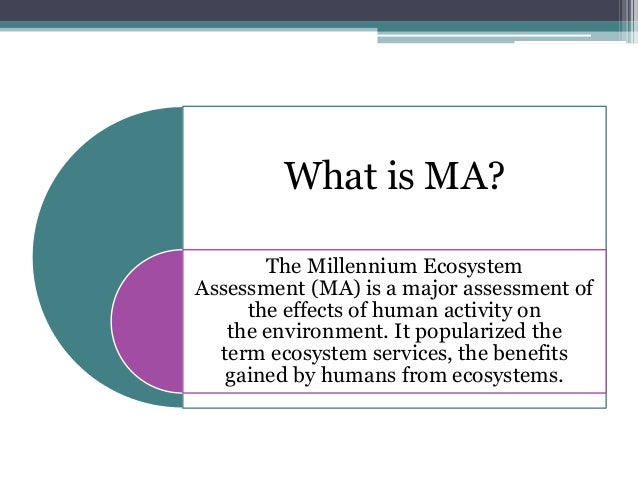 Millennium ecosystem assessment