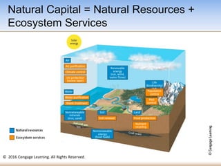 Environmental Problems, Their Causes and Sustainability | PDF ...