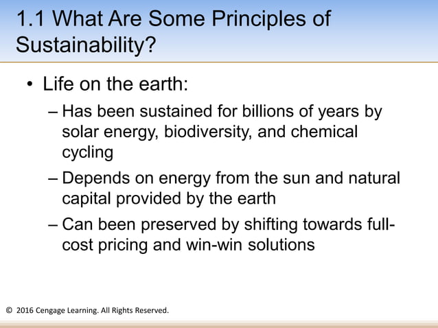 Environmental Problems, Their Causes and Sustainability | PDF Environmental Problems, Their Causes and Sustainability | PDF