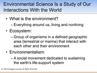 Environmental Problems, Their Causes and Sustainability | PDF ...