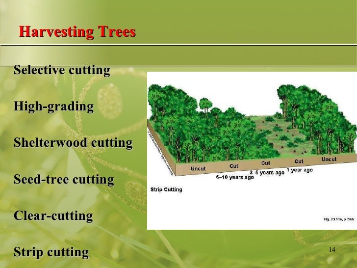 Biodiversity Management