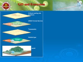 Ecosystems: How do they work? | PPT