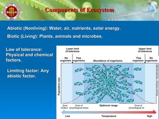 Ecosystems: How do they work? | PPT