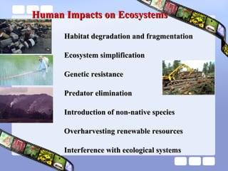 Population Ecology | PPT | Environment | Science