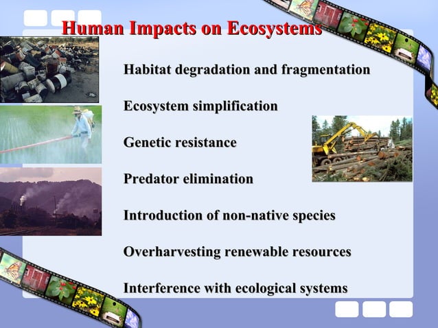 Population Ecology | PPT | Environment | Science