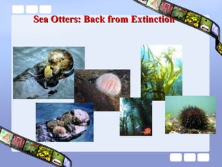 Population Ecology | PPT