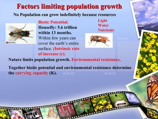 Population Ecology | PPT