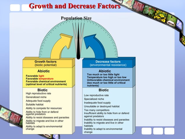 Population Ecology | PPT | Environment | Science