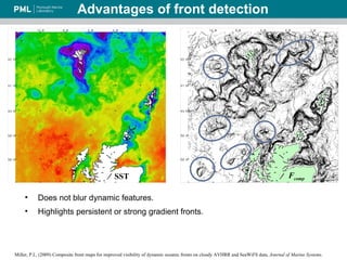 Peter Miller & David Sims | PPT