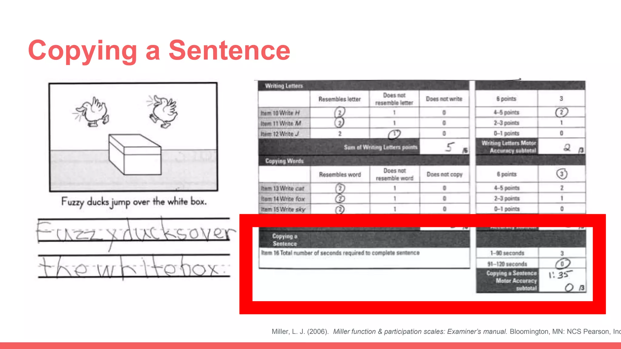 Miller Function and Participation Scales | PPTX