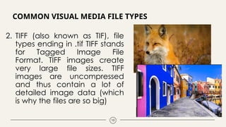 MIL_Lesson 23 Visual Media and Information 1 .pptx