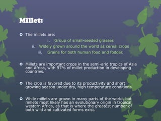 Millet | PPTX