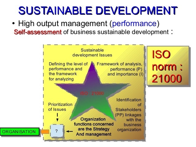Millet analysis of csr in a multinational implementation of sustainab…