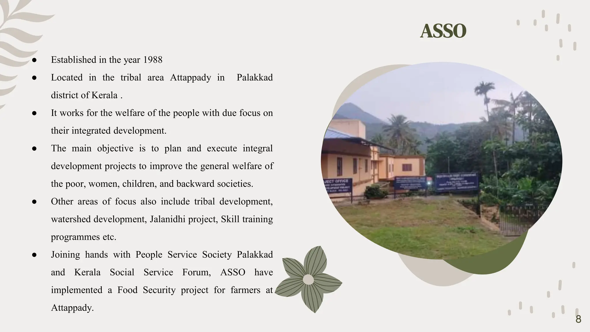 Millet Cultivation RAC.pptx