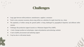 Millet Cultivation RAC.pptx