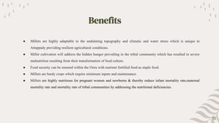 Millet Cultivation RAC.pptx