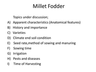 Millet fodder | PPTX | Agriculture | Industries