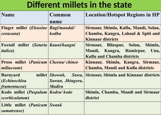 Millet cultivation technology in HP.pptx