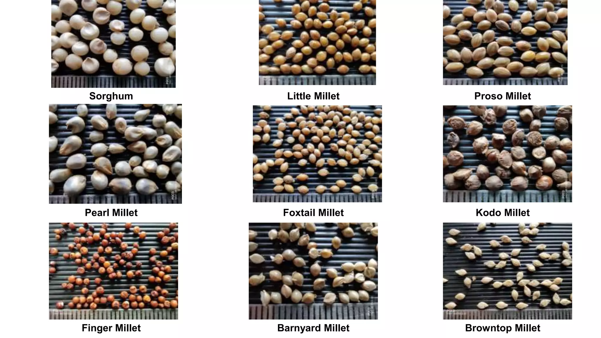 Millet processing technologies and Business | PPTX