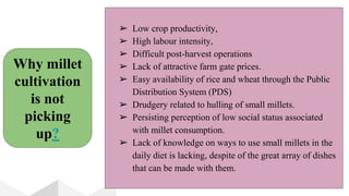 Millet processing technologies and Business | PPTX
