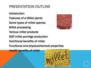 Millet processing. Grains and cereals technology | PPTX