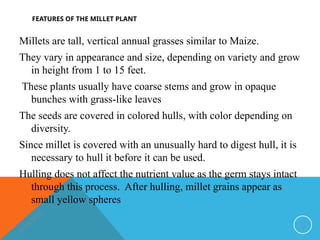 Millet processing. Grains and cereals technology | PPTX