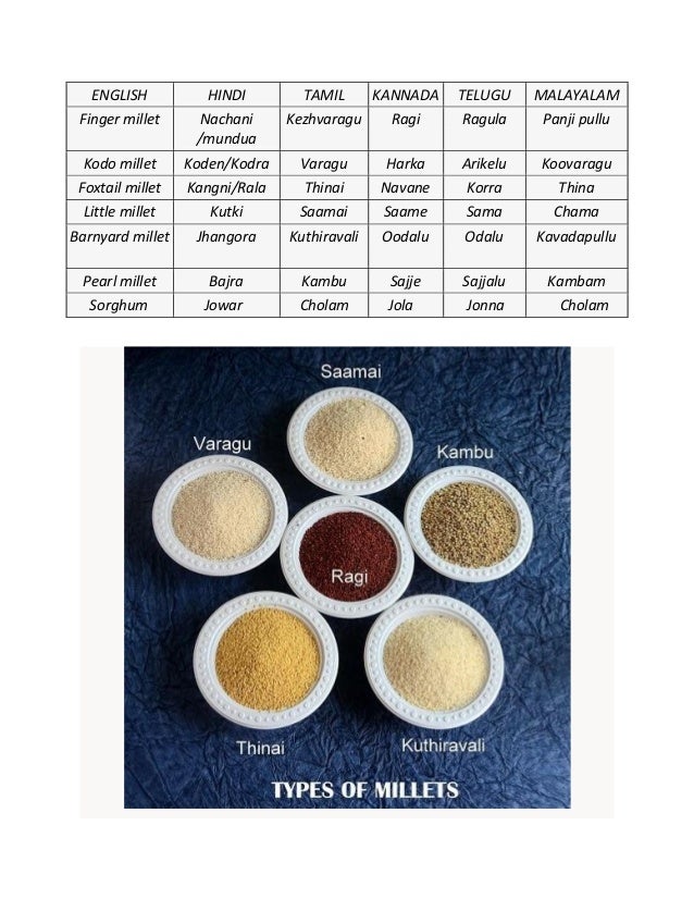 Millet In Hindi Millet In Hindi