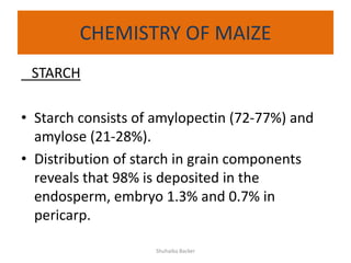 Maize and Millets | PPTX