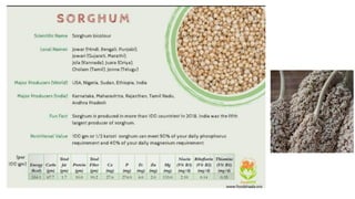 Millets : database | PPT