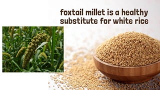Millets : database | PPT