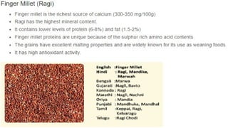 Millets.pptx types of millet introduced of millet | PPTX