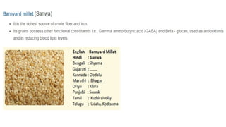 Millets.pptx types of millet introduced of millet | PPTX