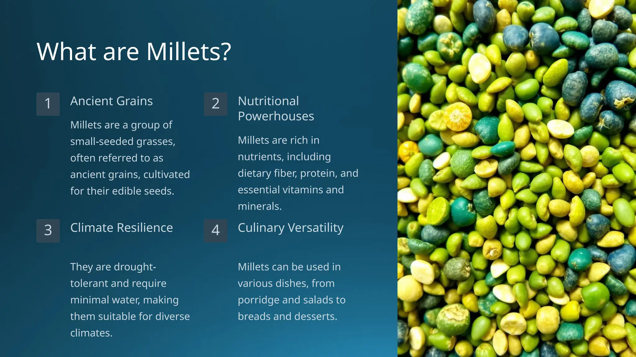 Millets-and-Maize-A-Comparative-Overview.pptx | Healthy Cooking and Eating | Food & Drink