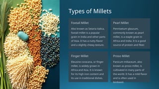 Millets-and-Maize-A-Comparative-Overview.pptx