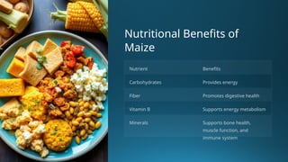 Millets-and-Maize-A-Comparative-Overview.pptx | Healthy Cooking and ...